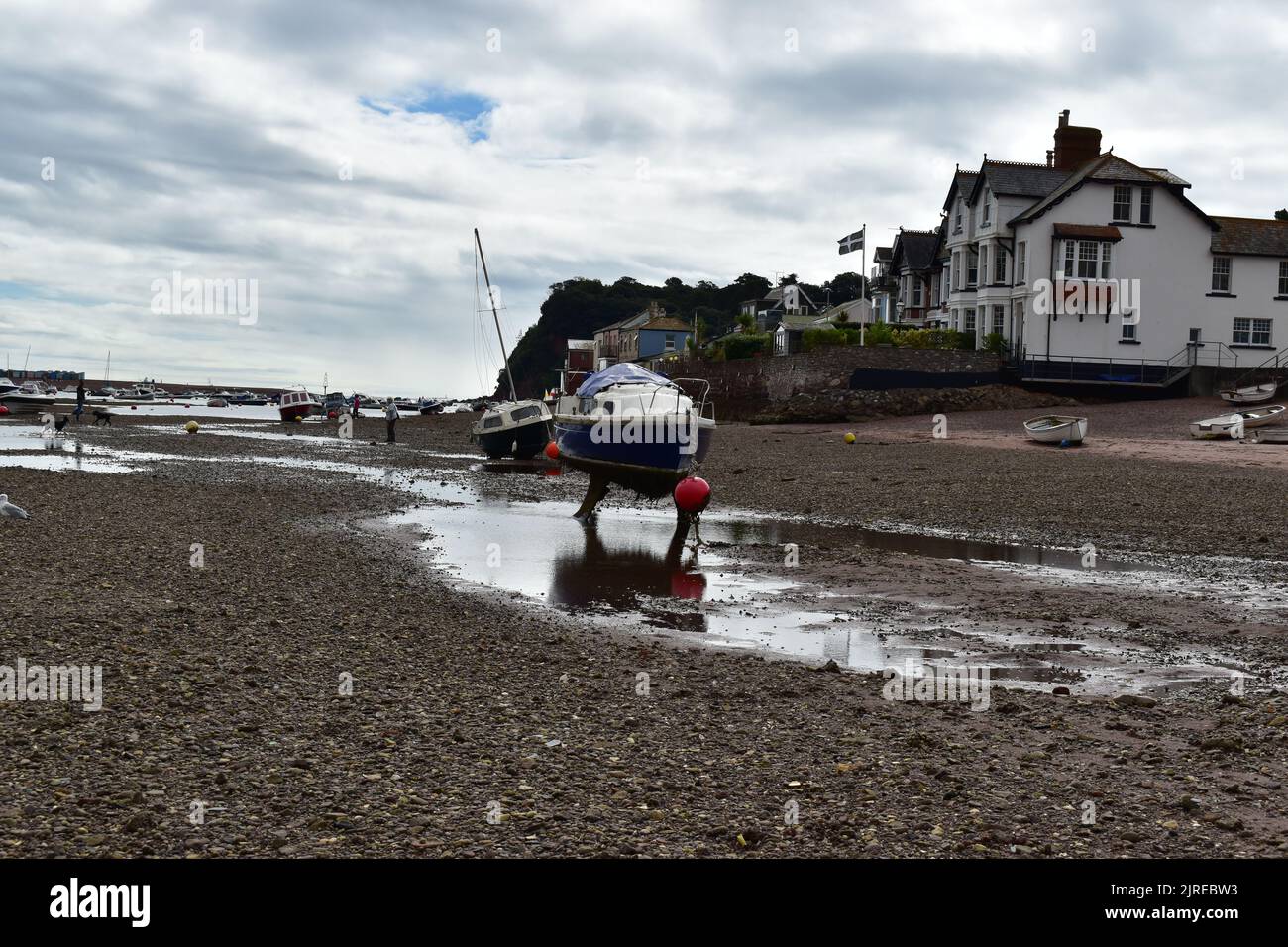 Shaldon devon gardens hi-res stock photography and images - Alamy