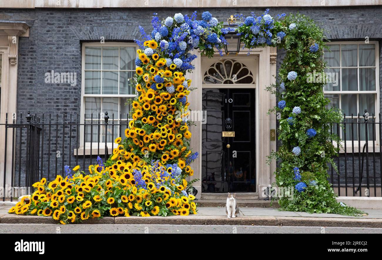 London ,United Kingdom 24/08/2022. Larry the Cat, Chief Mouser of ...