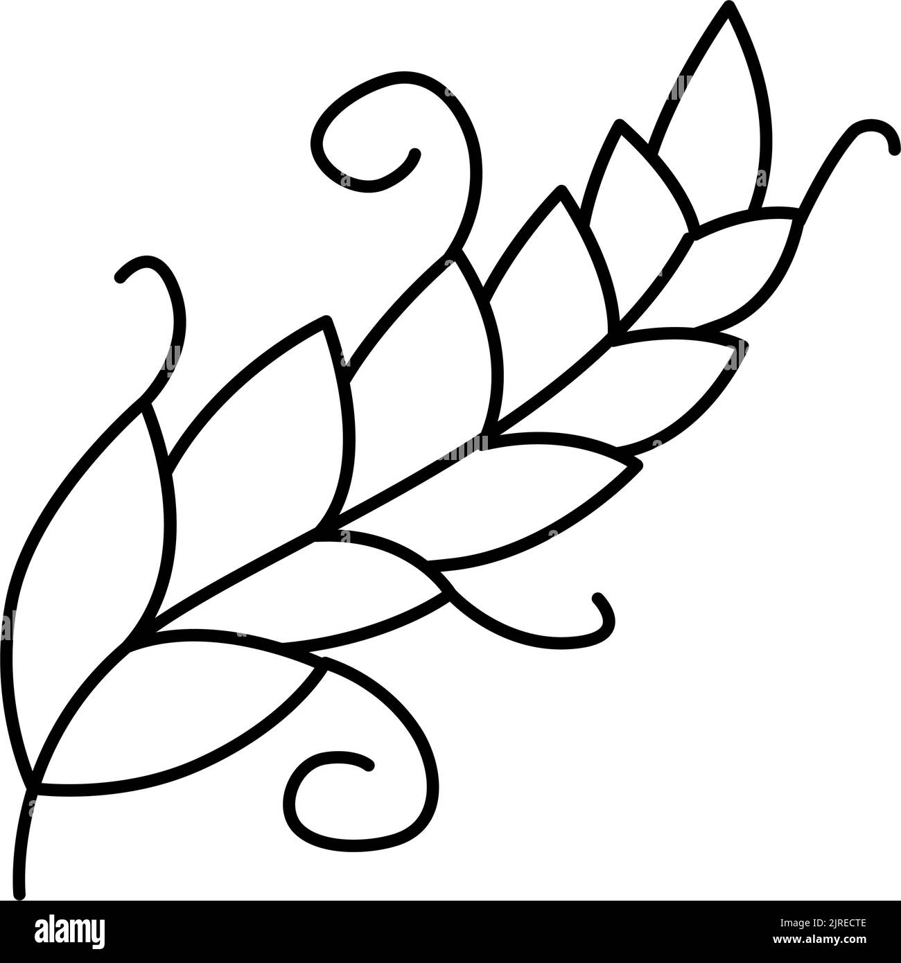 art feather soft fluffy line icon vector illustration Stock Vector ...