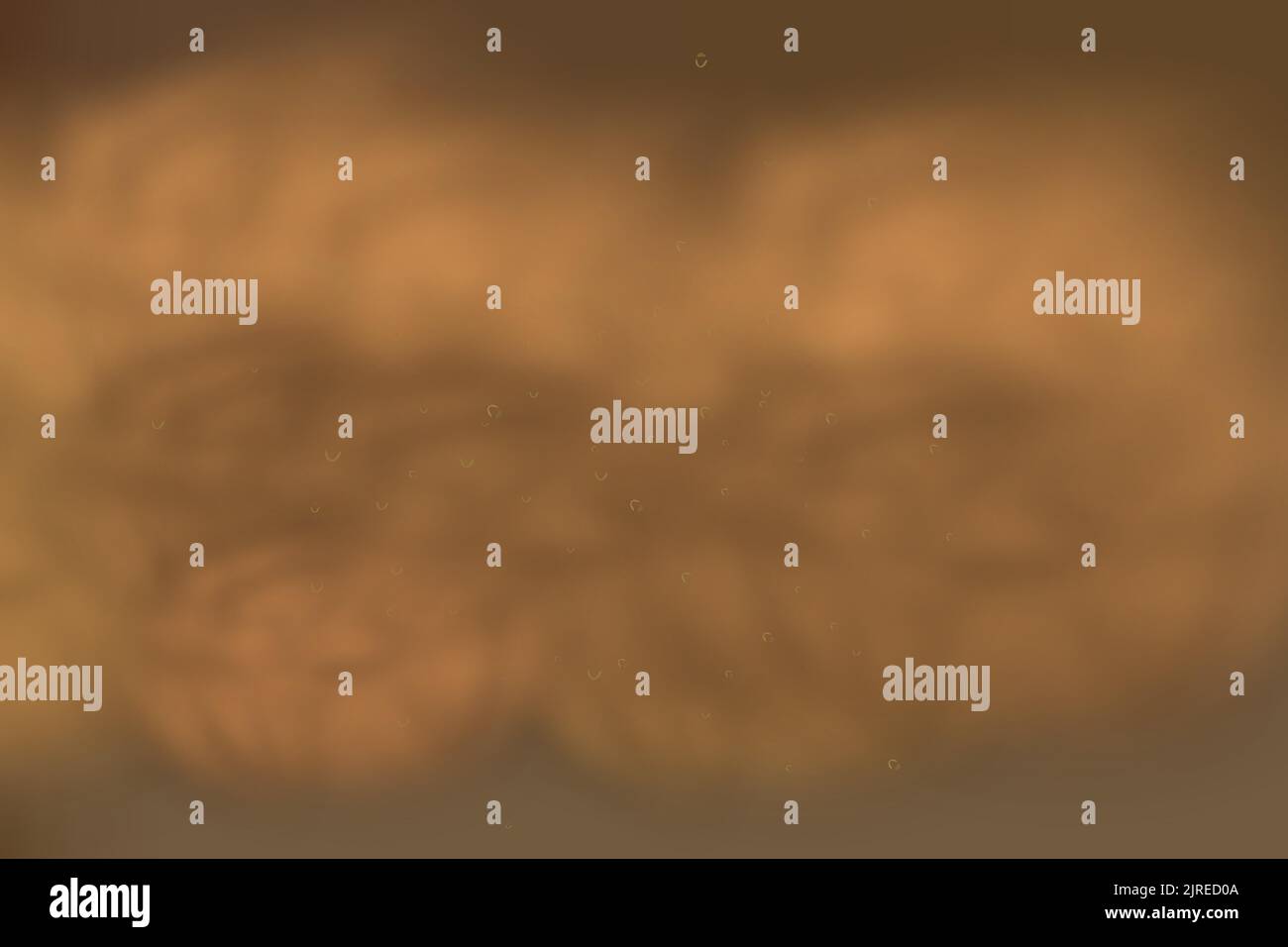 race on a dusty road or highway from a car.A cloud of brown dust and ...