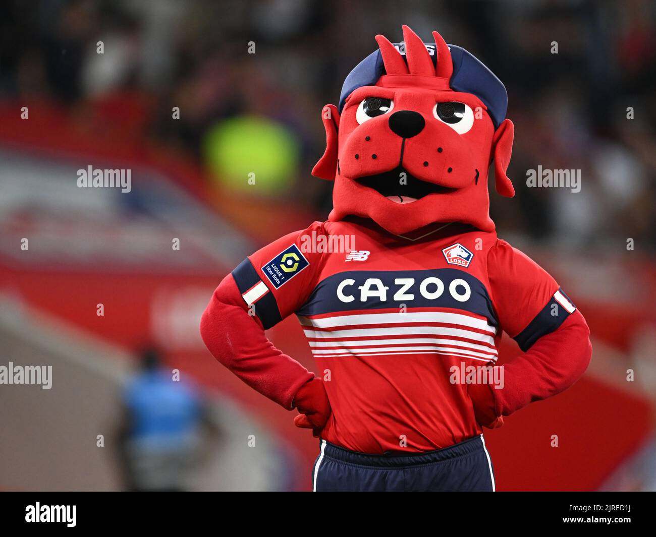 LILLE - LOSC Lille mascot DoggyDogjr during the French Ligue 1 match ...