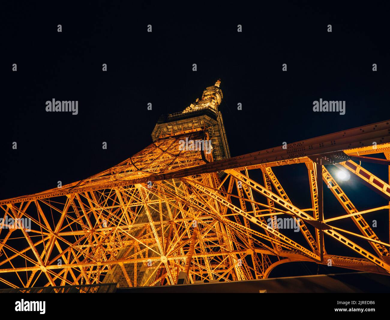 A closeup low angle shot of illuminated Tokyo Tower in Shiba Park at night Stock Photo - Alamy