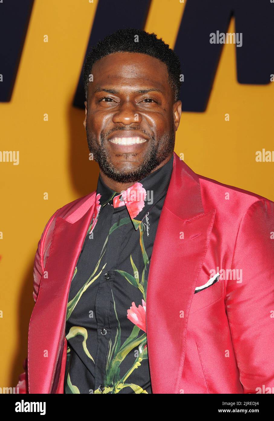LOS ANGELES, CA - AUGUST 23: Kevin Hart attends the Los Angeles ...