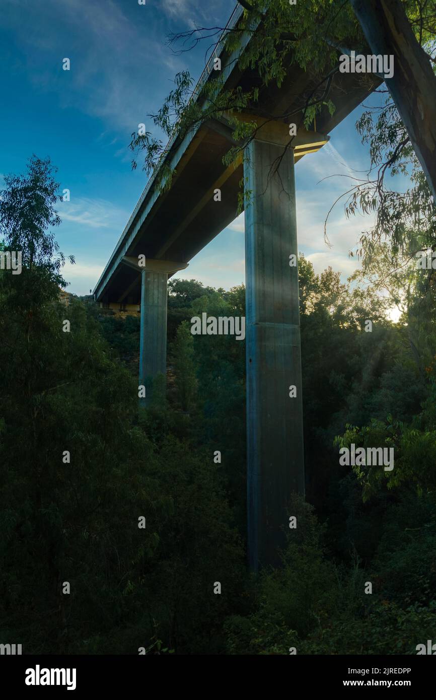 concrete viaduct crossing a lush forest illuminated by the sun's rays ...