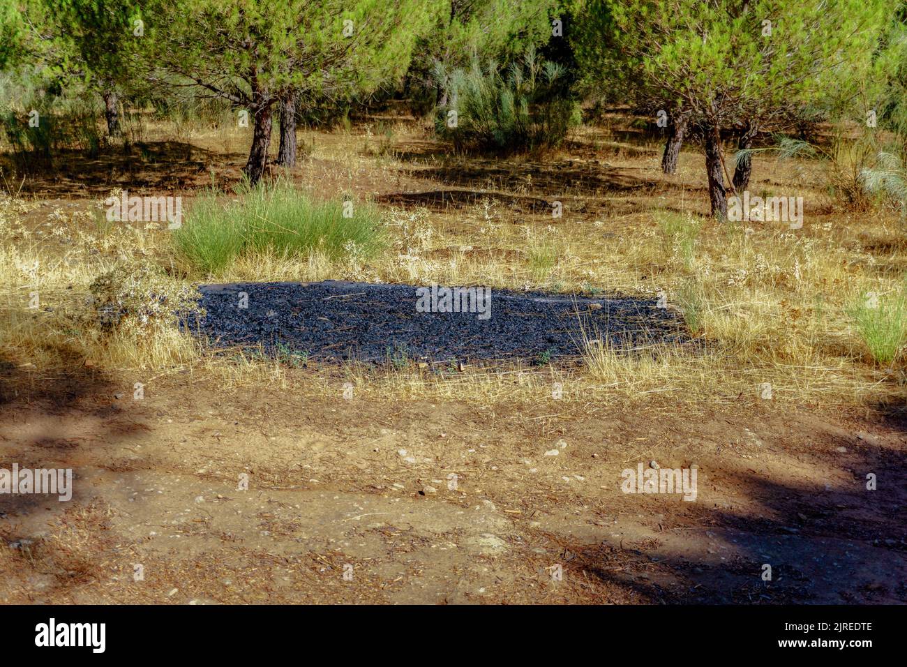 Remains of a fire hi-res stock photography and images - Alamy