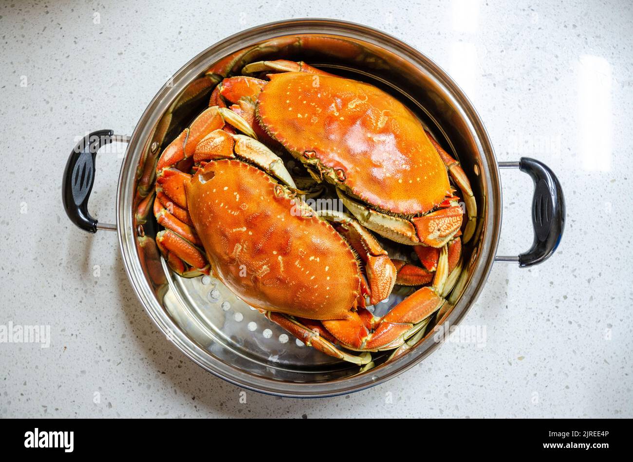 Crab Cooking Pot Bcf at Terry Camacho blog