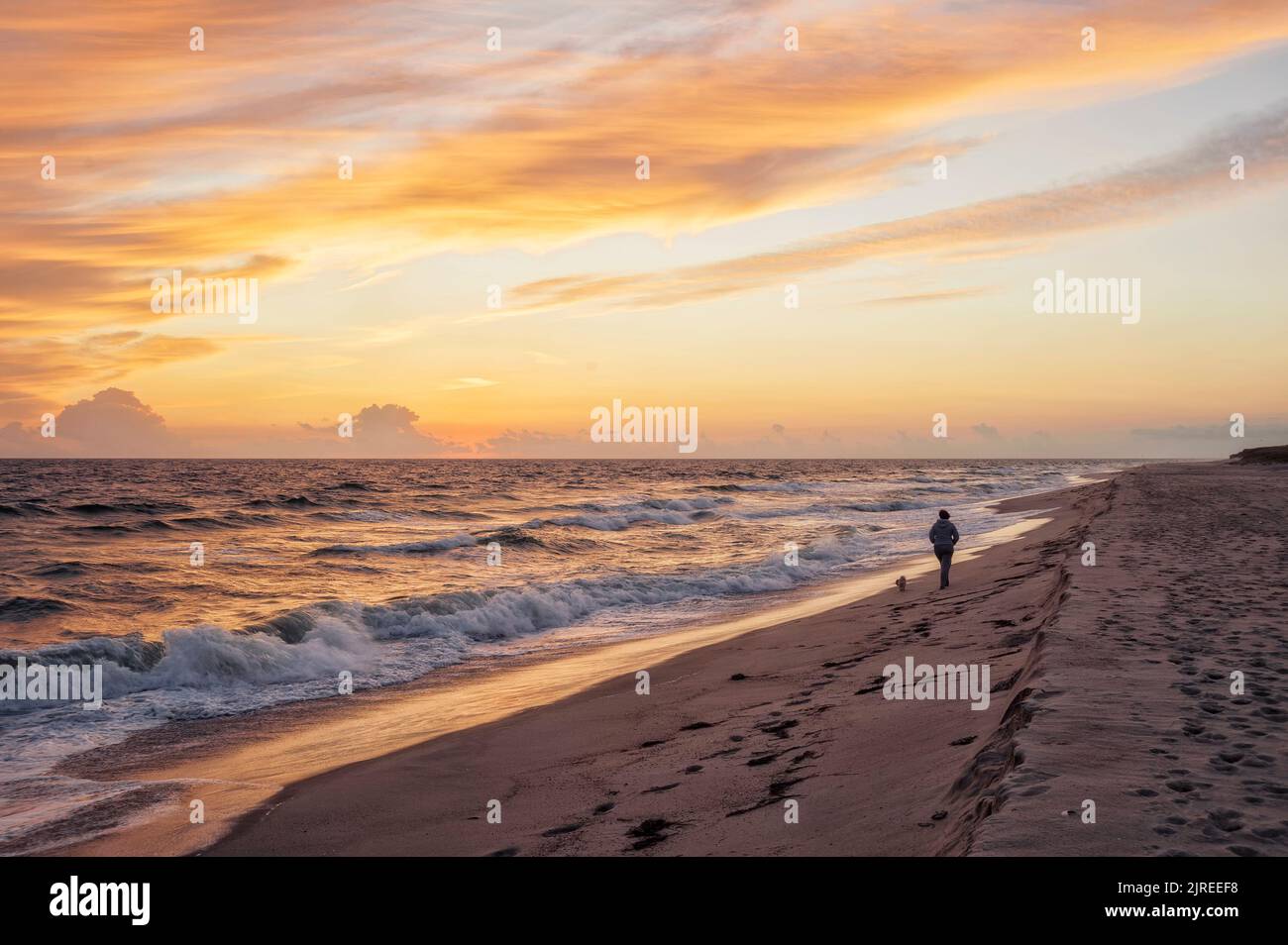 Dog Walks at Miacomet beach quiet and calm Sunset on Nantucket Island ...