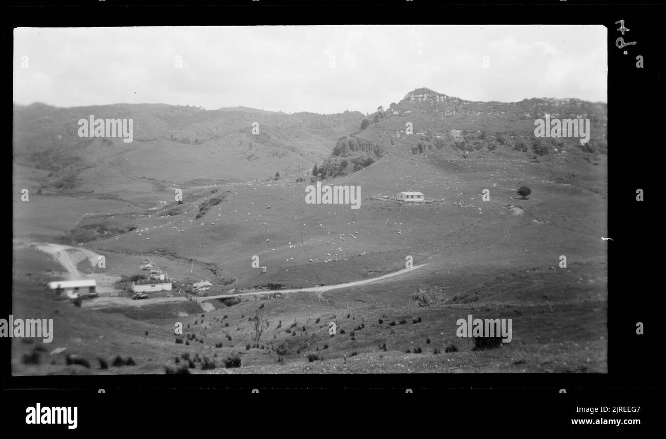 Hamilton holiday, 14 November 1953-18 November 1953, by Leslie Adkin ...