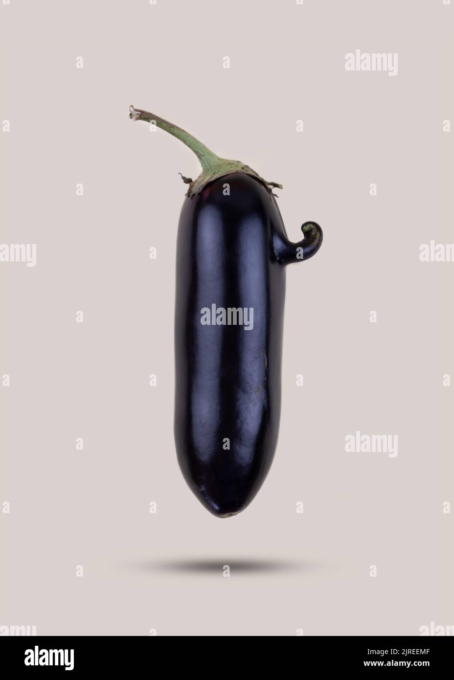 Ugly eggplant with nose levitate on gray background. Funny, abnormal ...
