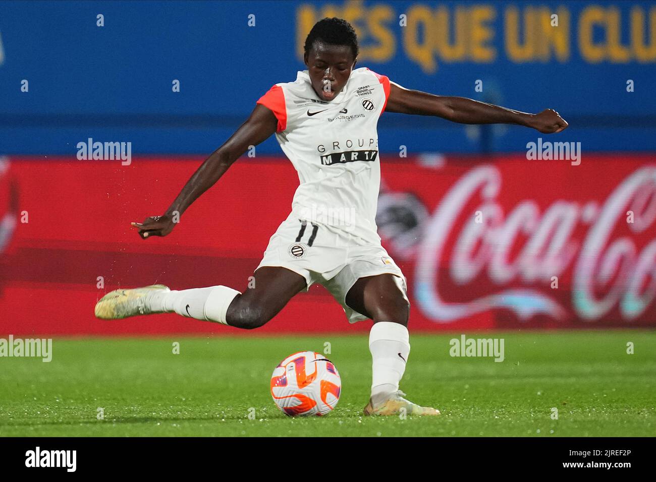 Nerilia mondesir hi-res stock photography and images - Alamy