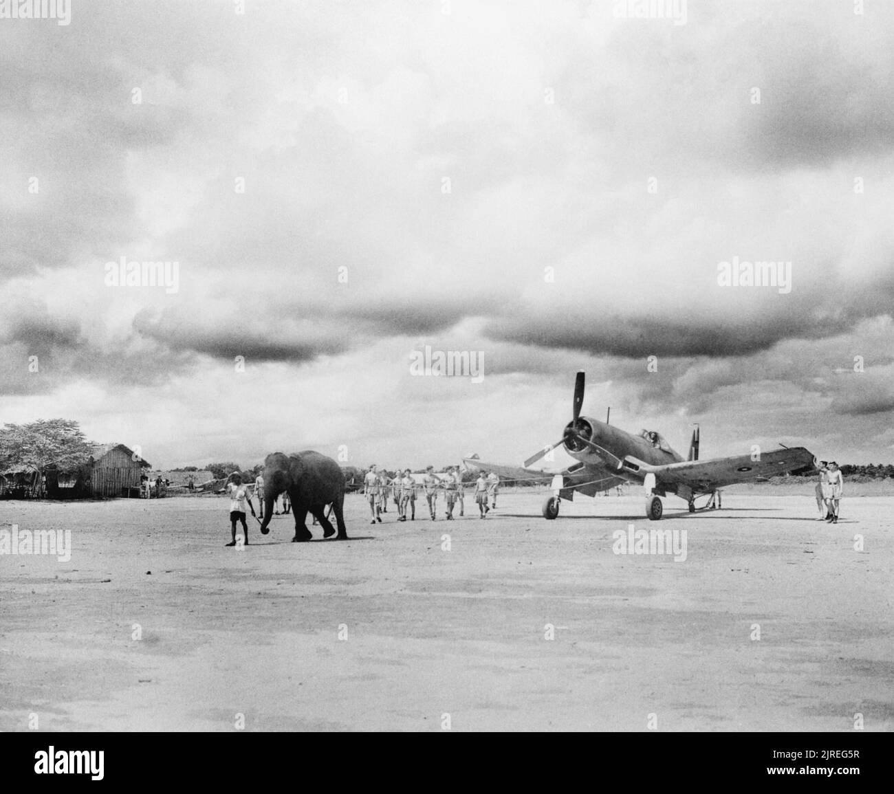 The Fleet Air Arm during the Second World War An elephant pulls a ...