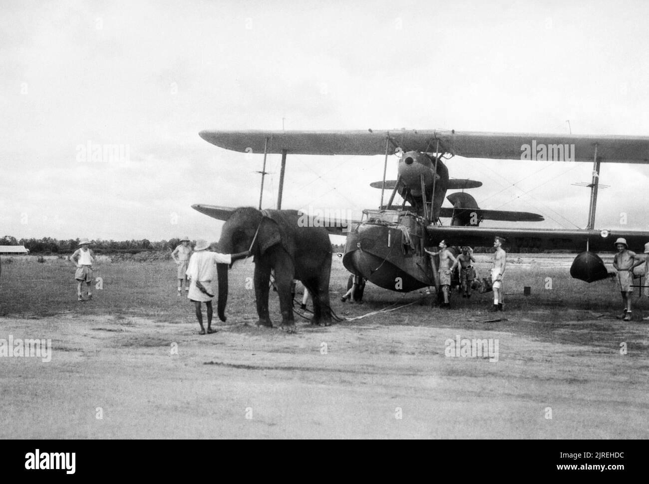 An elephant pulling a Supermarine Walrus aircraft into position at a ...
