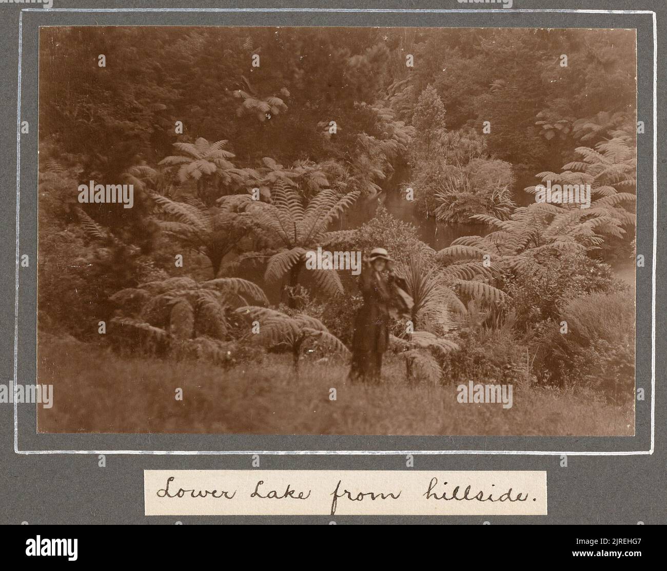 Lower lake from hillside hi-res stock photography and images - Alamy