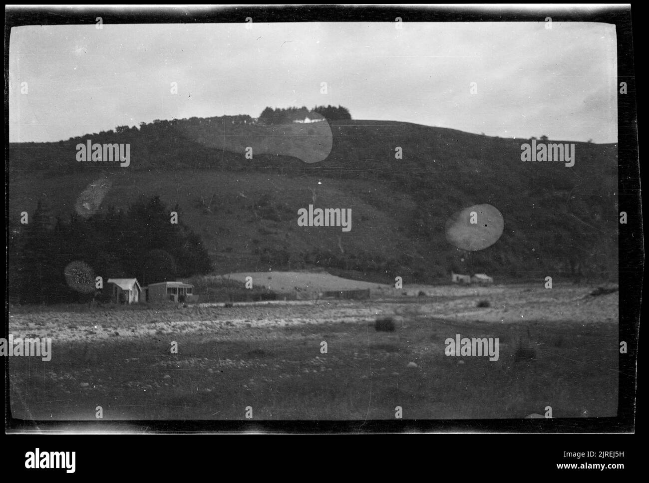 Beach vegetation scene Black and White Stock Photos & Images - Alamy