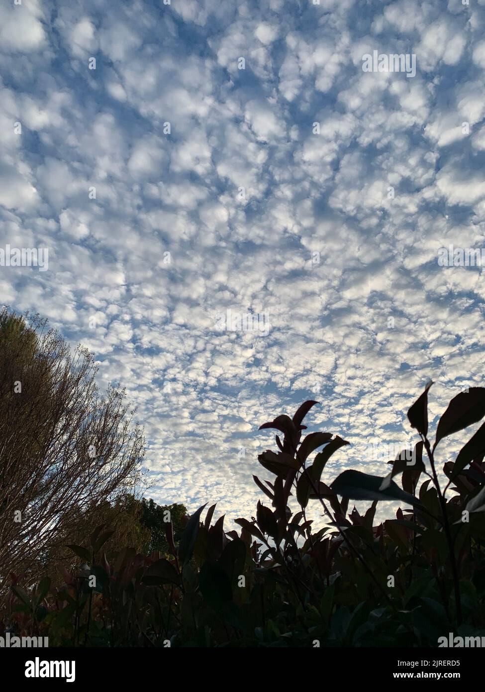 A vertical low-angle shot of the beautiful sky with clouds Stock Photo ...