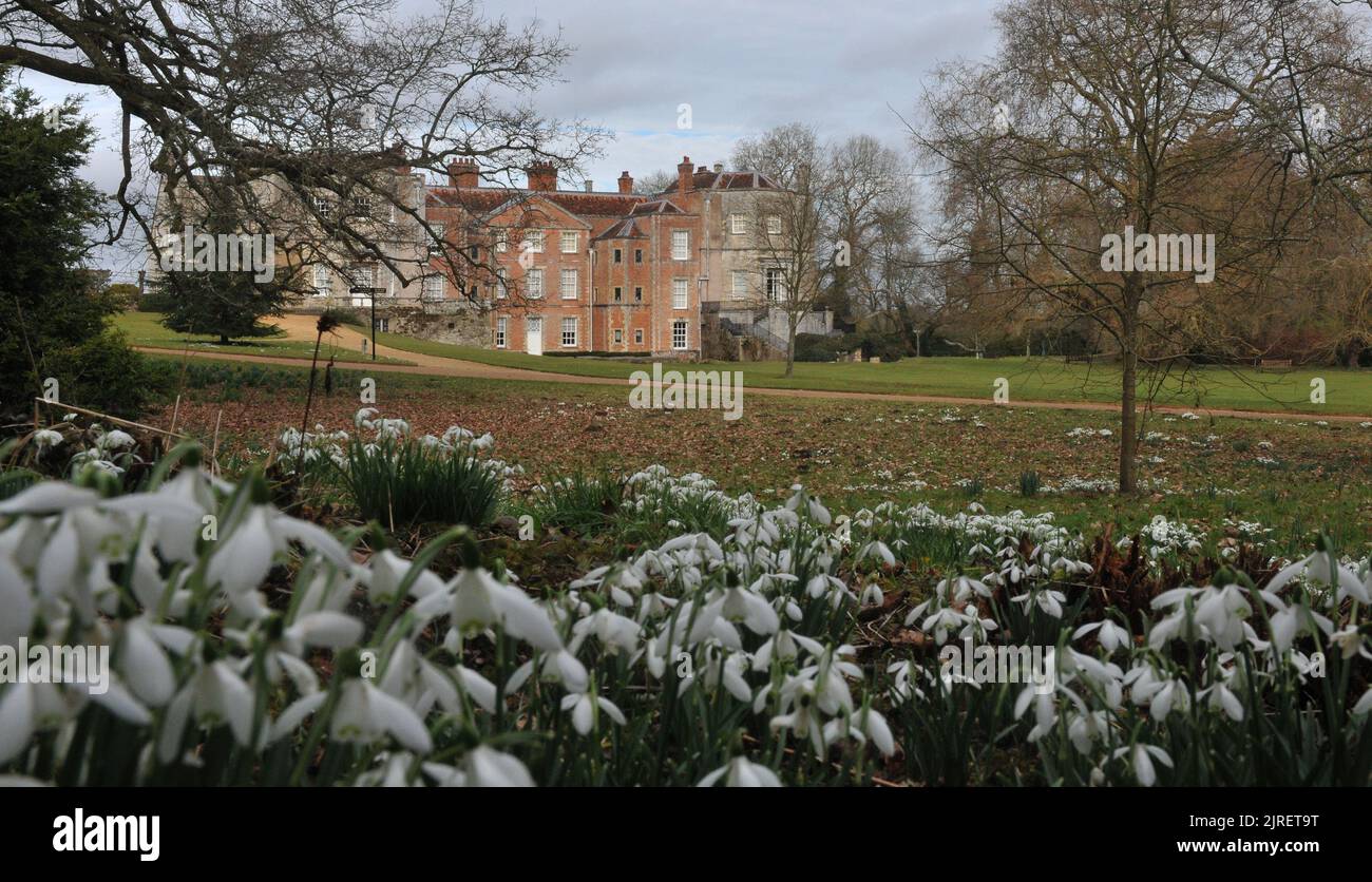 SNOWDROPS AT MOTTISFONT ABBEY , HAMPSHIRE. PIC MIKE WALKER, MIKE WALKER ...