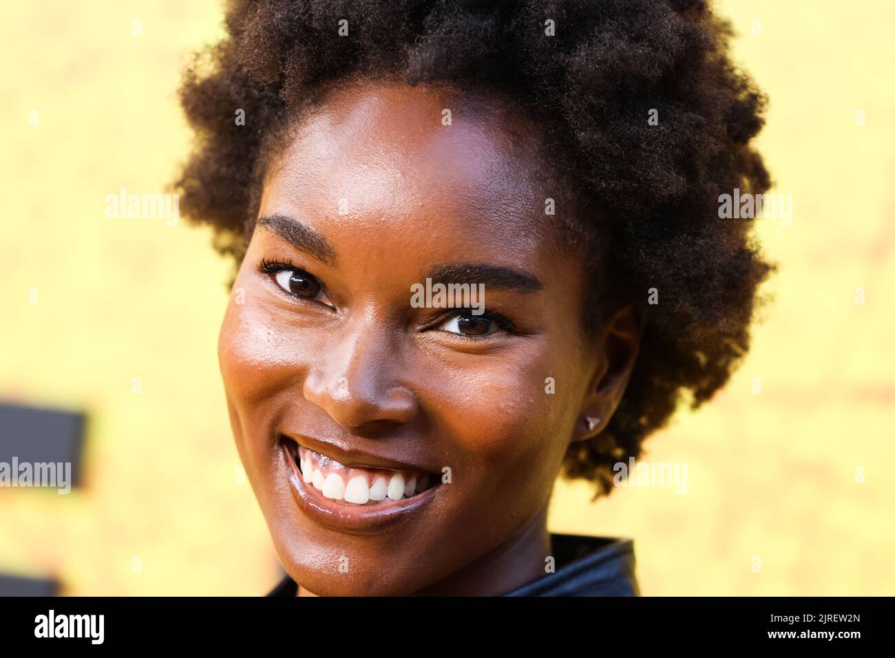 Los Angeles, United States. 23rd Aug, 2022. LOS ANGELES, CALIFORNIA ...