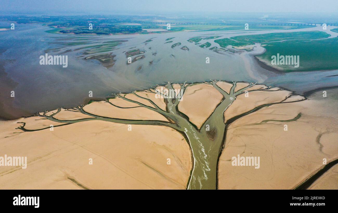 NANCHANG, CHINA - AUGUST 24, 2022 - An aerial photo shows the "tree ...