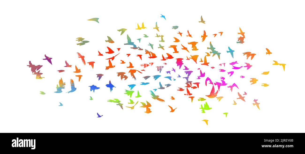 Abstract multicolored flying birds. Mixed media. Vector illustration ...