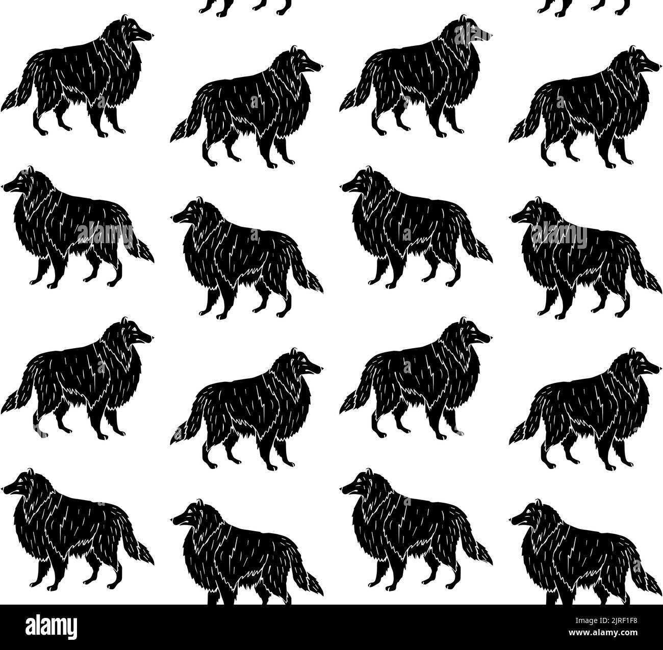 Vector seamless pattern of hand drawn collie dog silhouette isolated on ...