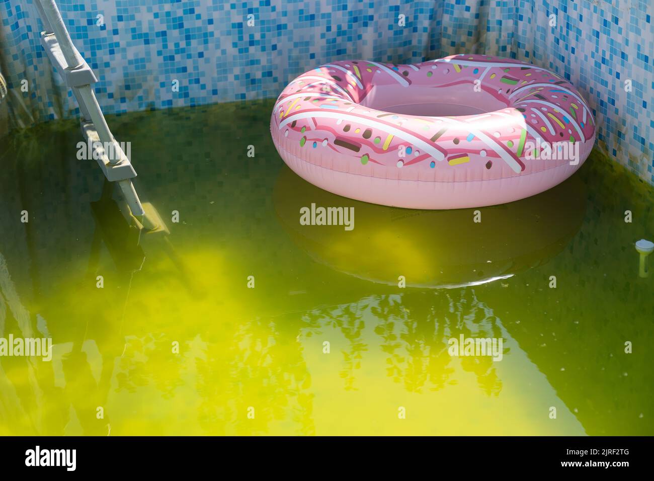 Back yard swimming pool behind modern single family home at pool ...