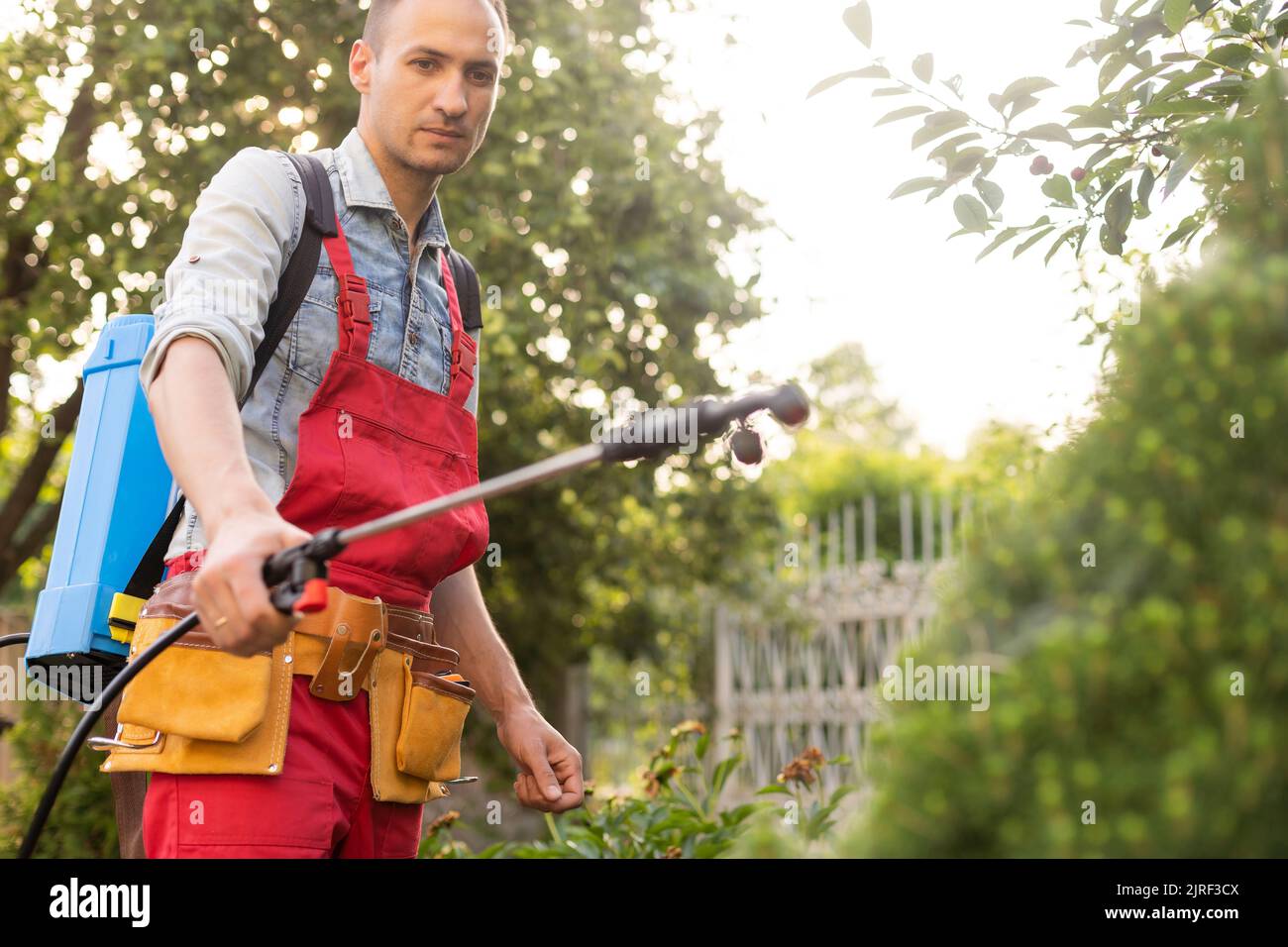 Applying insecticide hi-res stock photography and images - Alamy