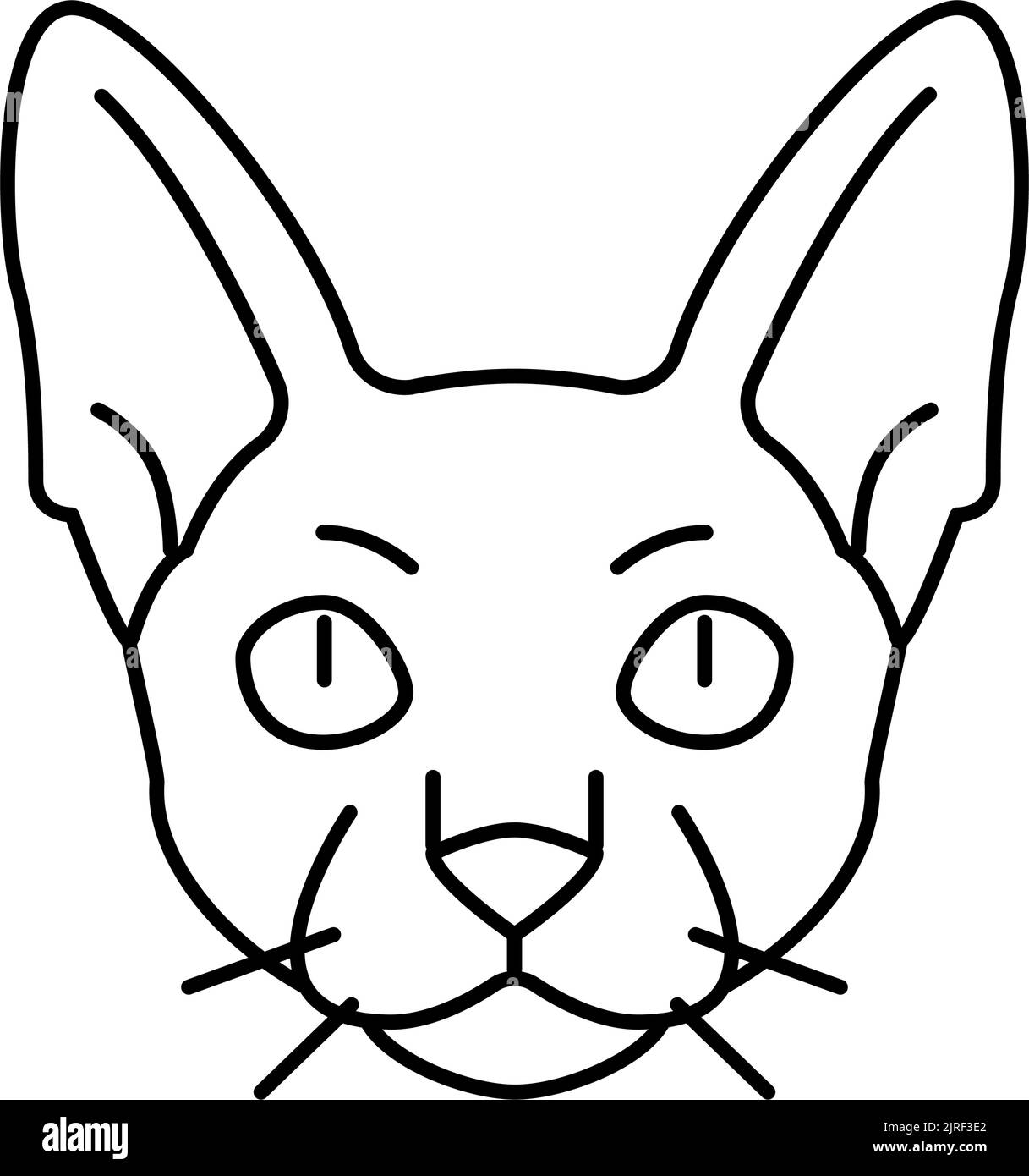 Black cornish rex cat Stock Vector Images - Alamy