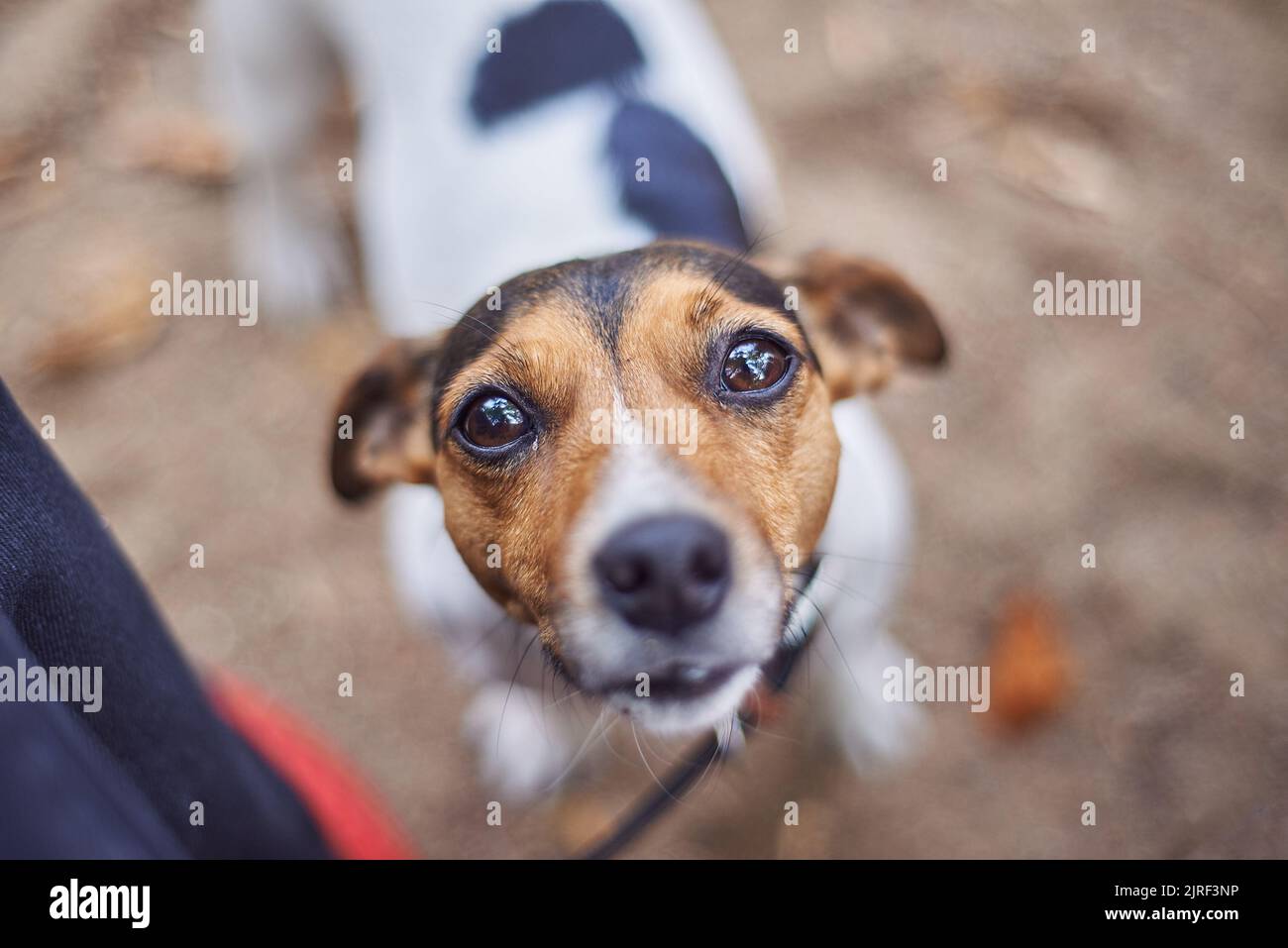 Heavy eyes hi-res stock photography and images - Alamy