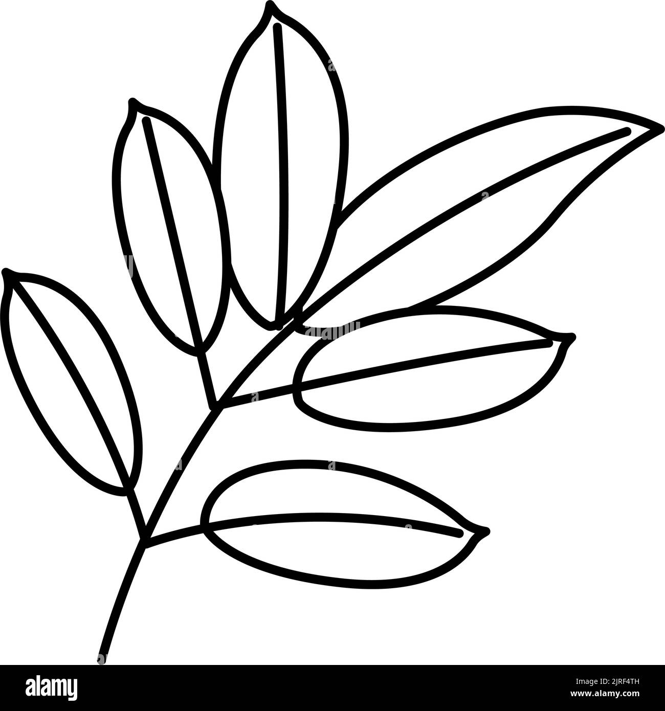 mahogany leaf line icon vector illustration Stock Vector Image & Art ...