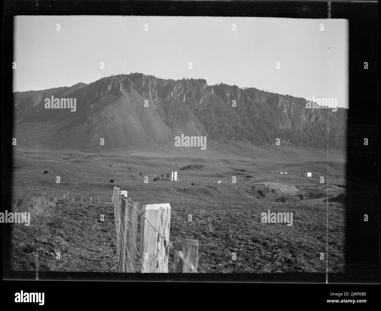 Volcanic landforms, Horohoro Bluffs, by Dr Patrick Marshall Stock Photo ...