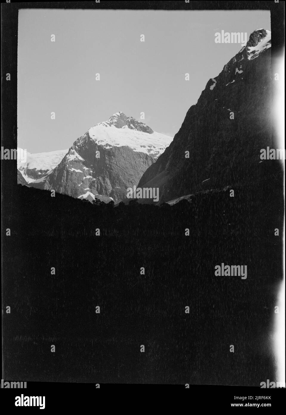 Talbot head Black and White Stock Photos & Images - Alamy