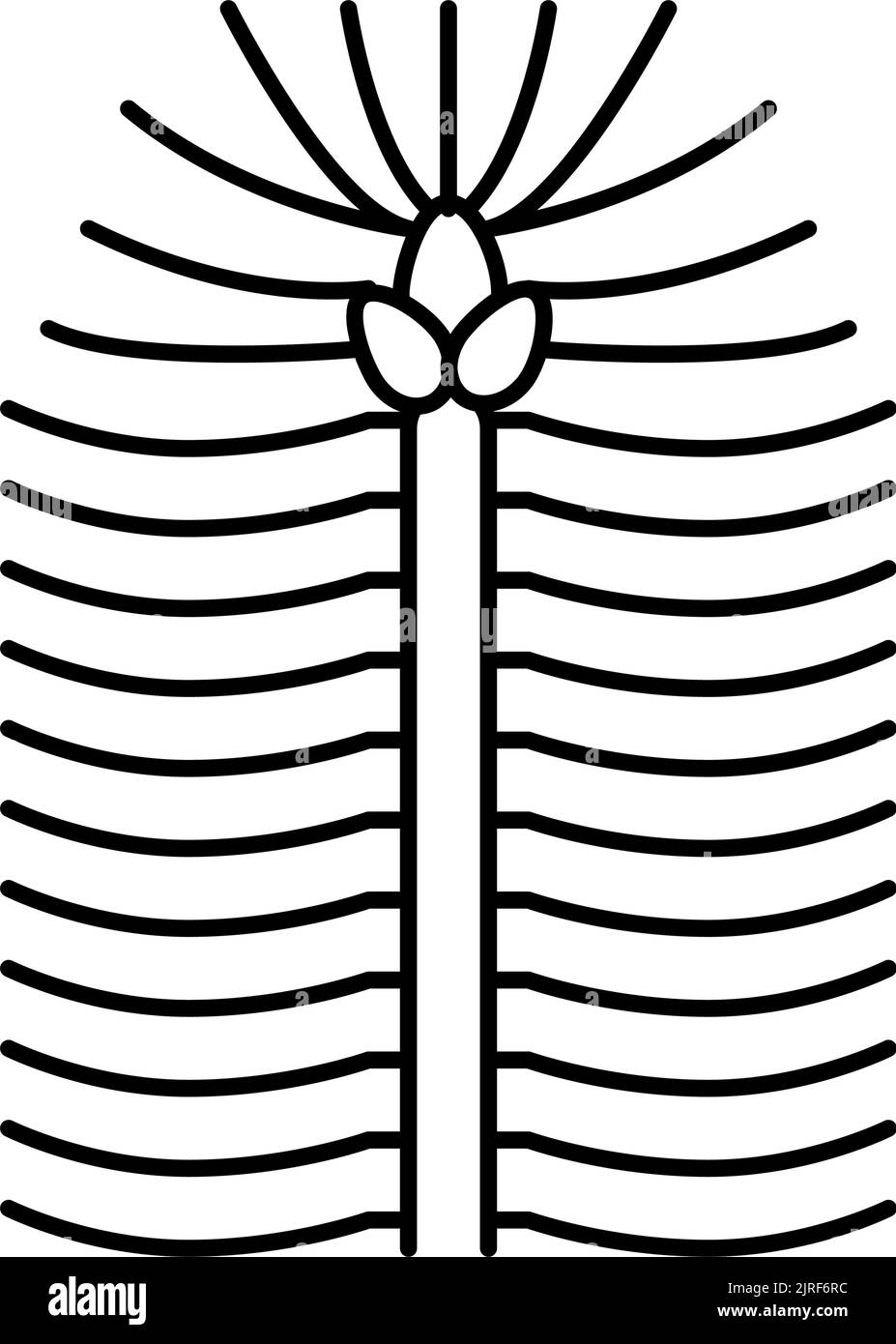 pine leaf line icon vector illustration Stock Vector Image & Art - Alamy