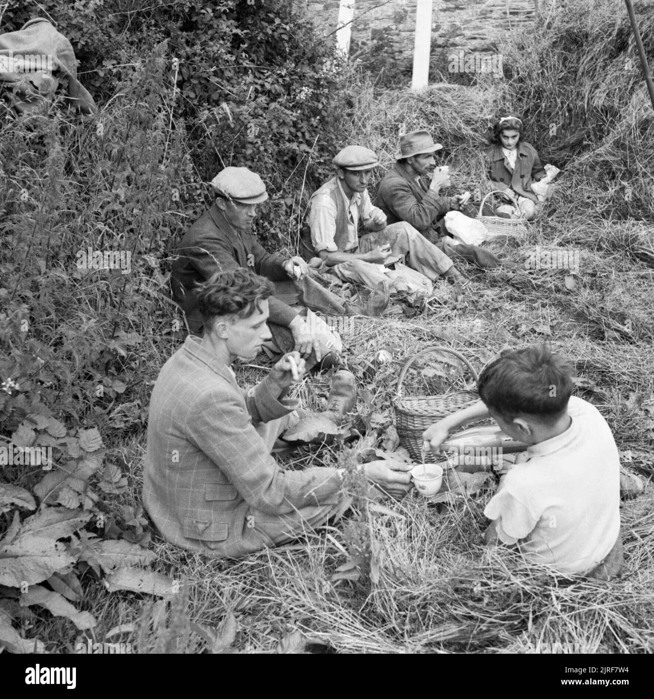 Farm workers at Mount Barton Farm in Devon take a break for lunch in ...