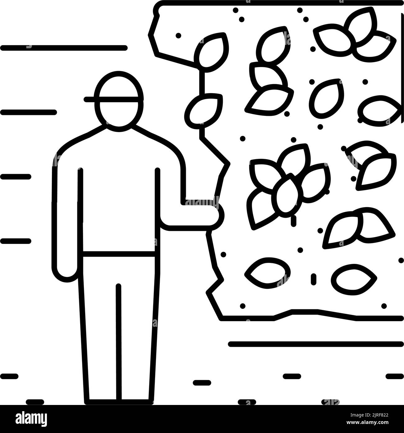 living walls installation line icon vector illustration Stock Vector ...