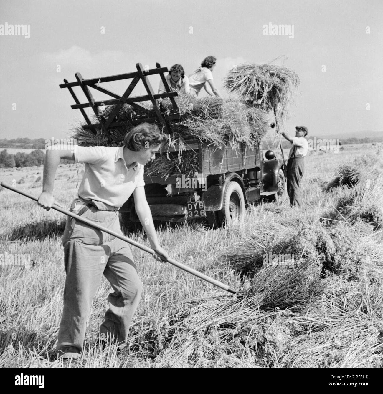 Harvesting at Mount Barton, Devon, England, 1942 Land Girls Joan Day ...