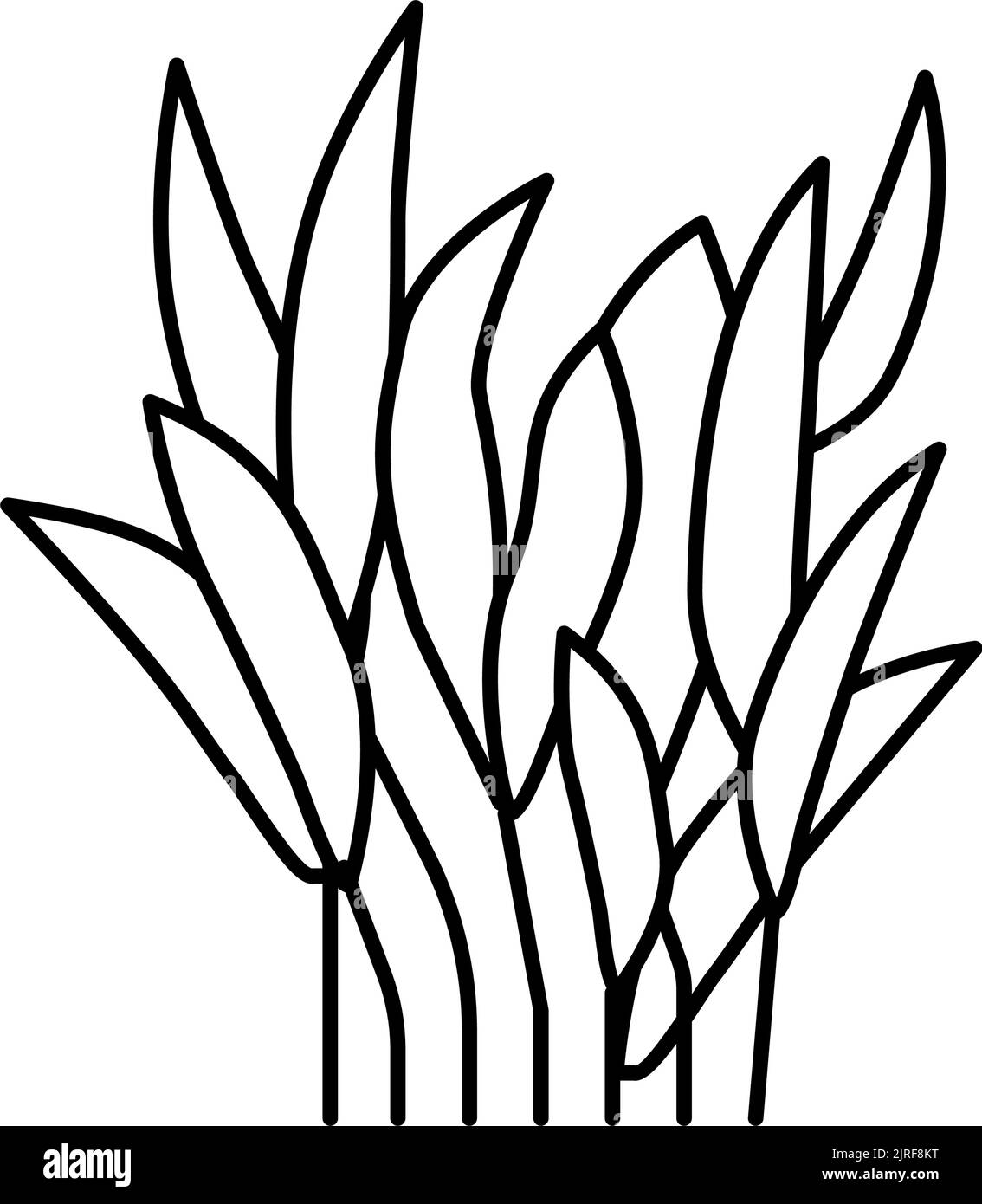 java fern line icon vector illustration Stock Vector Image & Art - Alamy java fern line icon vector illustration Stock Vector Image & Art - Alamy