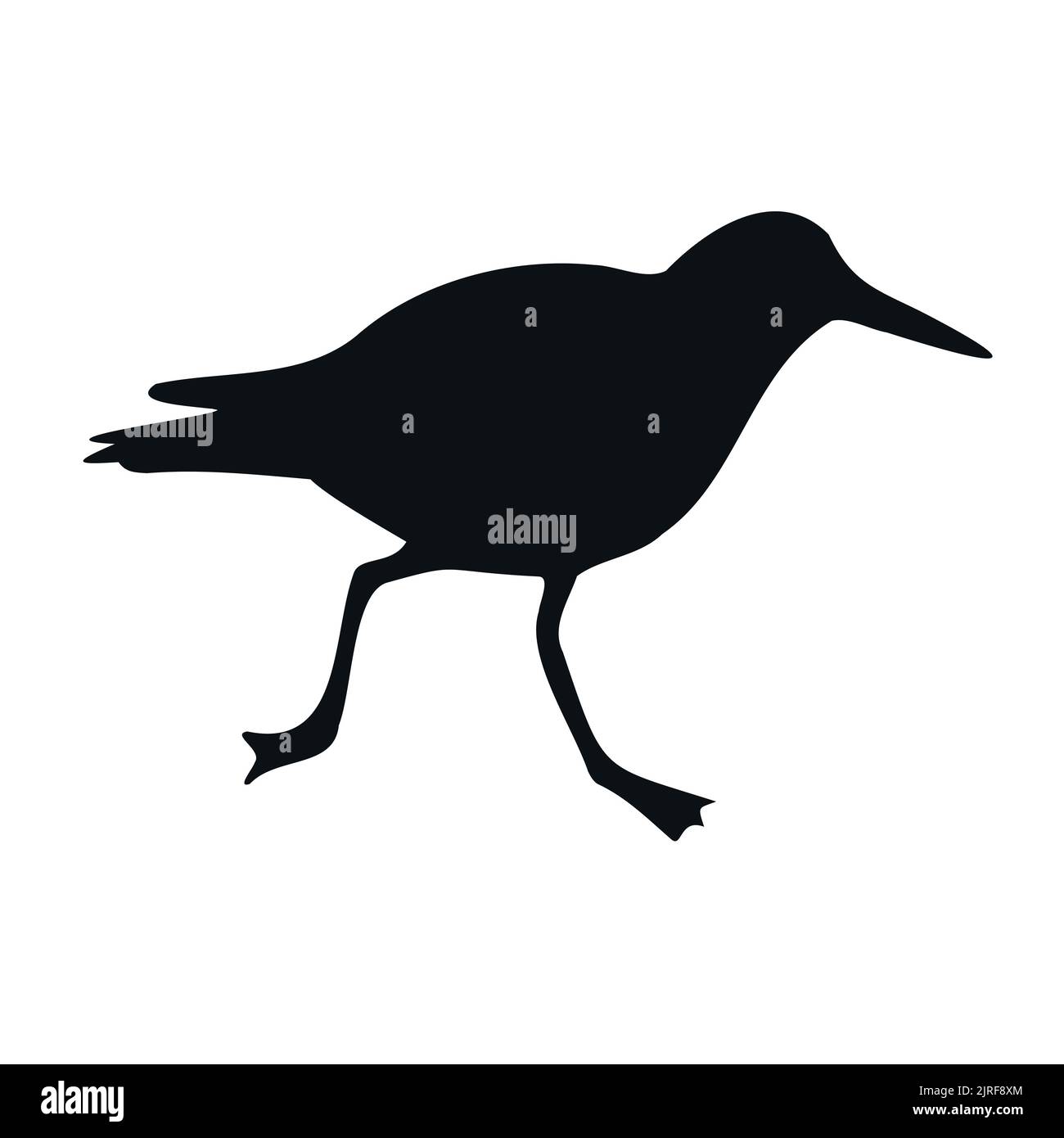 Vector hand drawn doodle sketch sandpiper bird silhouette isolated on white background Stock ...