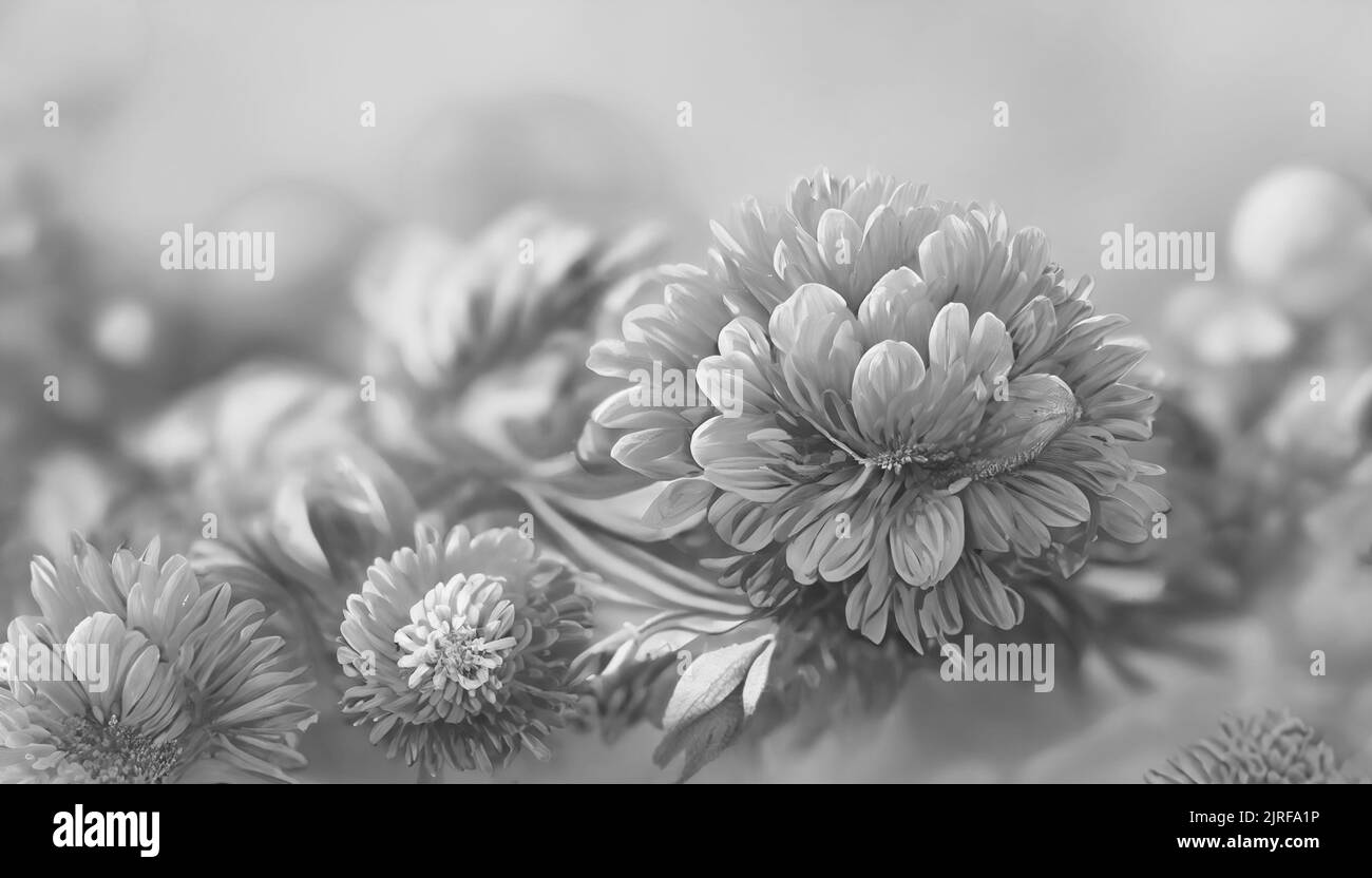 Digital art background Fresh floral background with Chrysanthemum ...