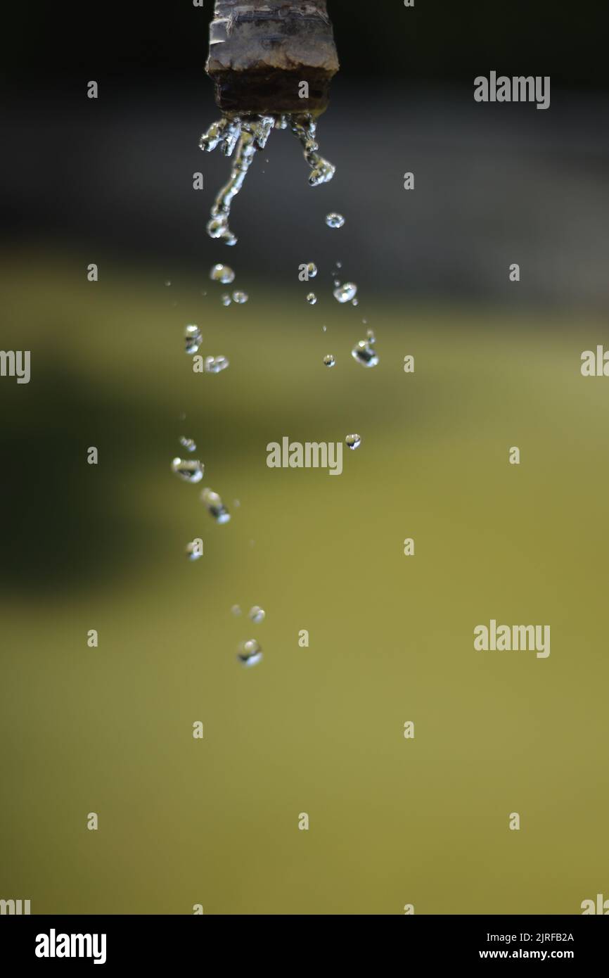 Water dripping water aqua eau drip dripping summer drought heat sun dry ...