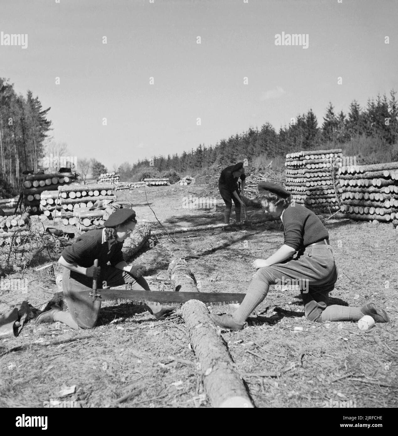 Two Land Army girls sawing timber into lengths for pit props at the WLA ...