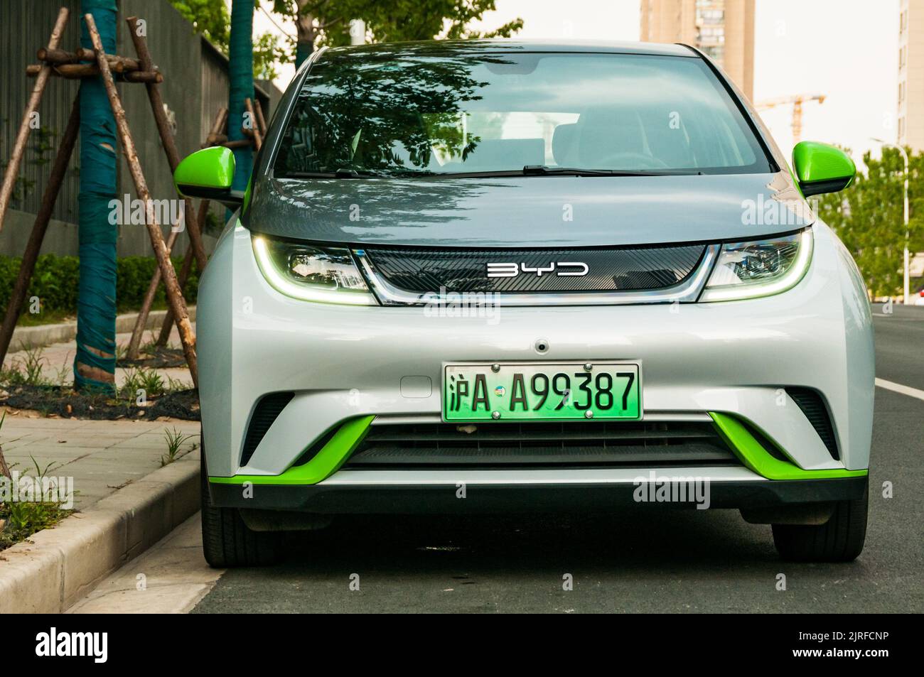 BYD Dolphin small electric hatchback car photographed in Shanghai ...