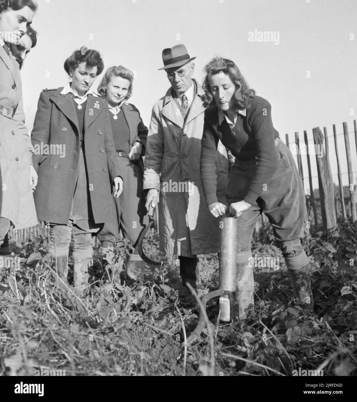Ww2 womens land army hi-res stock photography and images - Alamy
