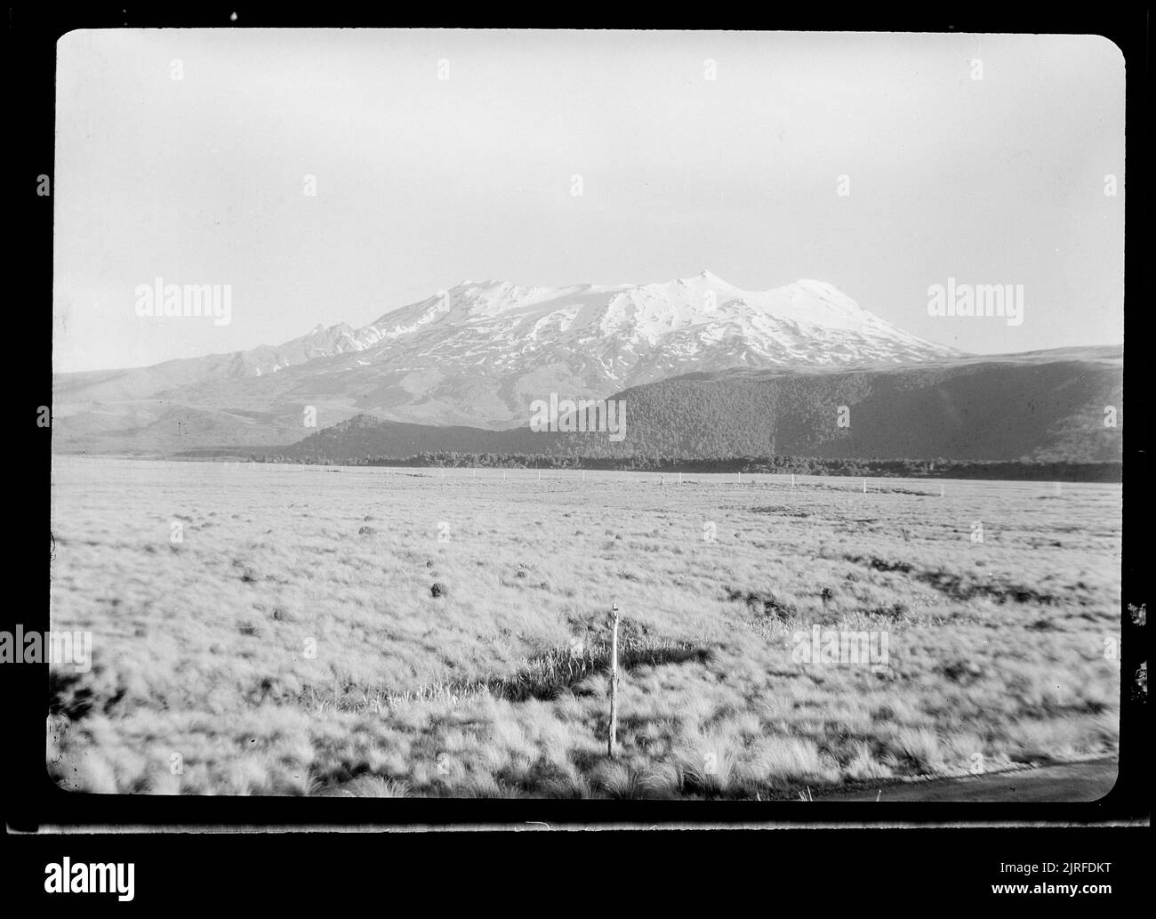 Mount Ruapehu, by J.W. Chapman-Taylor Stock Photo - Alamy