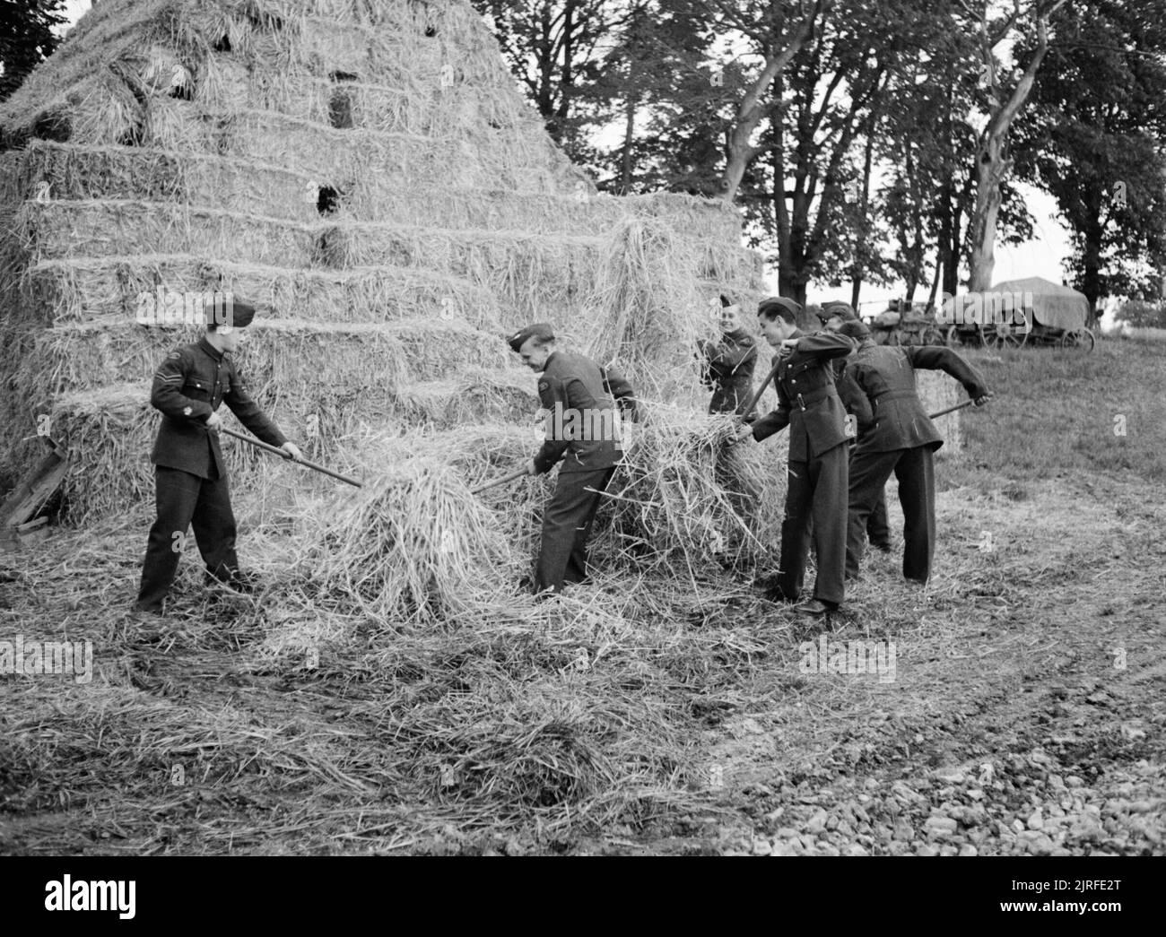 Atc Boys Lend a Hand on the Land- Agriculture in Wartime, England, UK ...