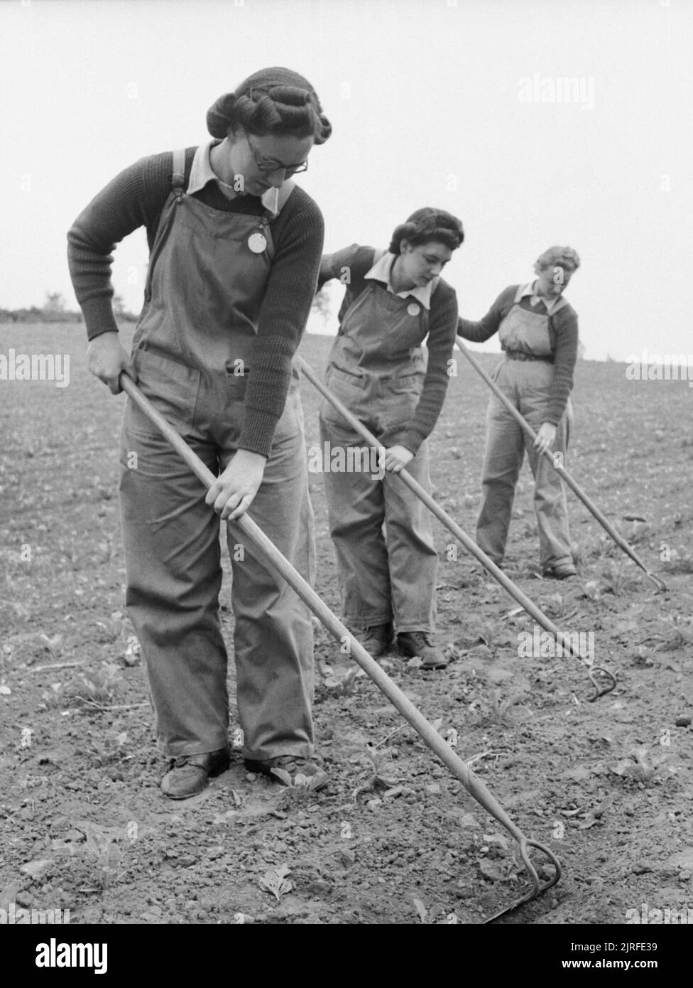 Land girls at work ww2 hi-res stock photography and images - Alamy