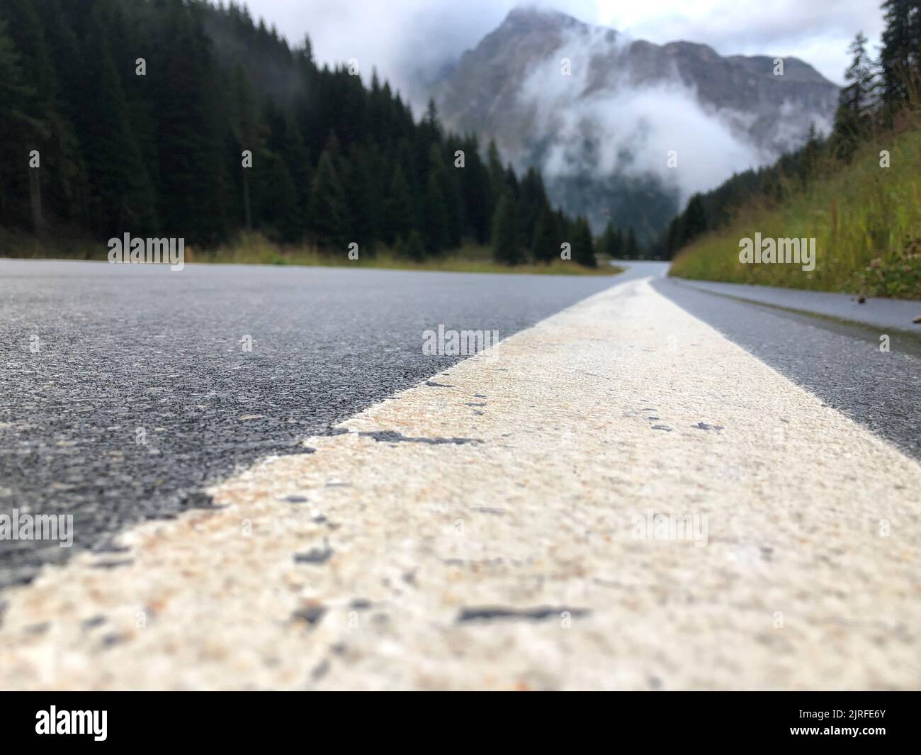 A closeup of a highway to the mountains with trees on both sides Stock ...
