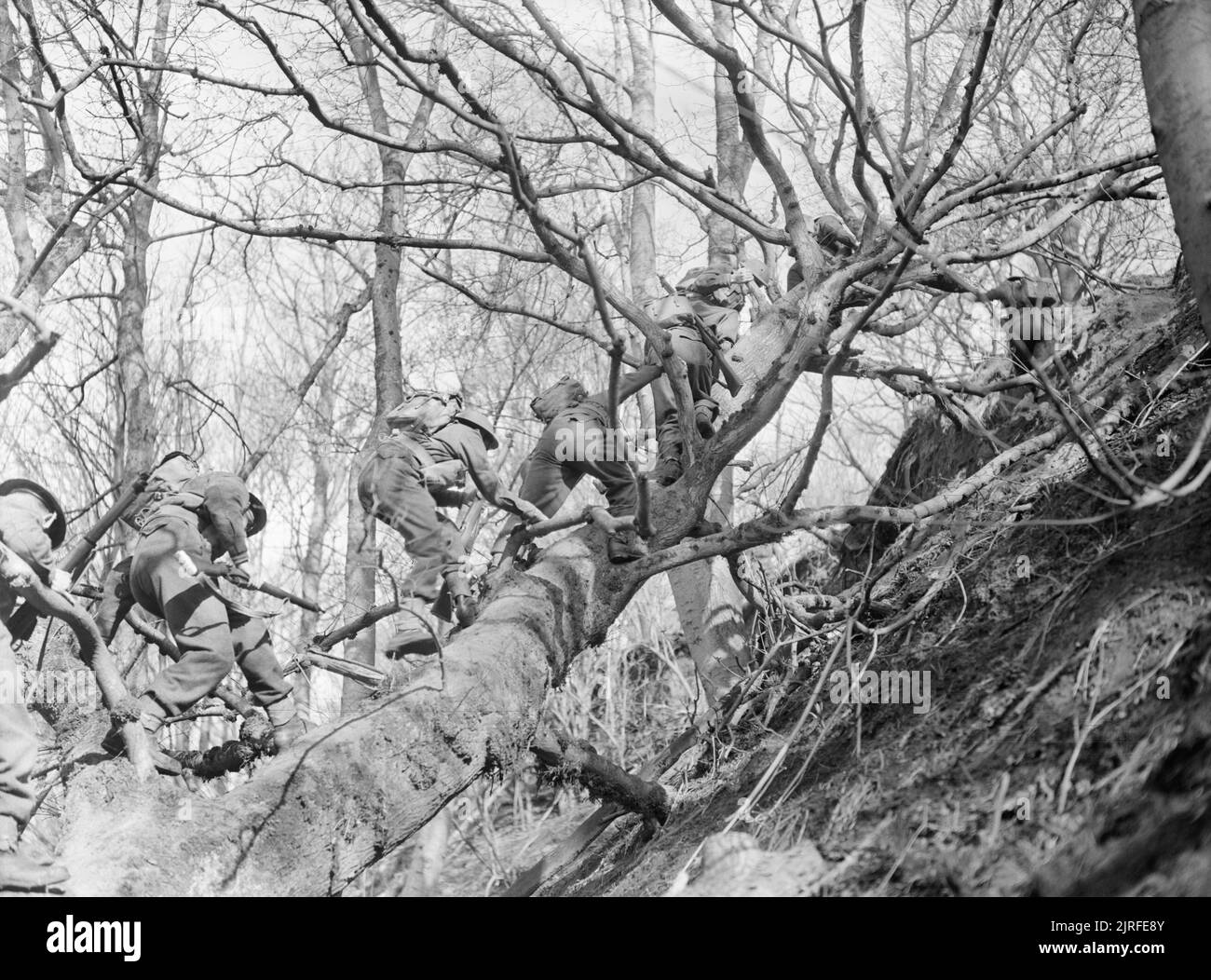 Belgian Commandos in Training, UK, 1945 As part of their Commando ...