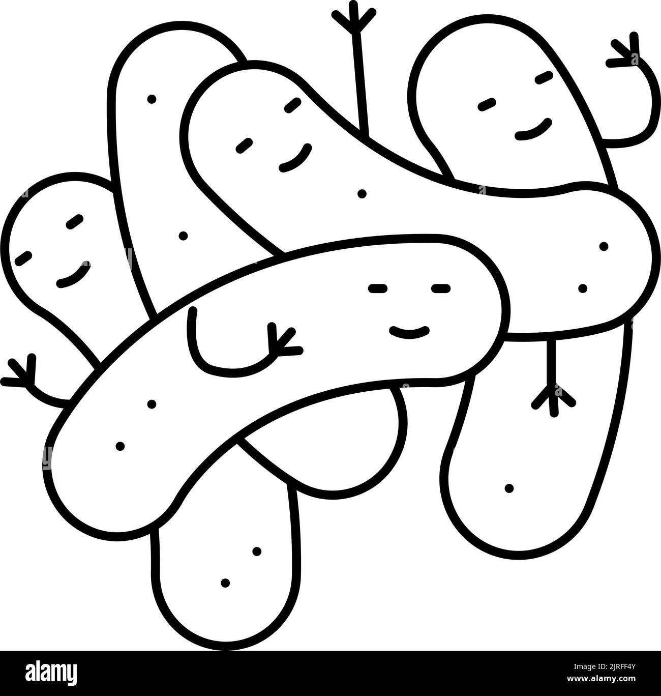 Lactobacillus bacteria microscope Black and White Stock Photos & Images ...