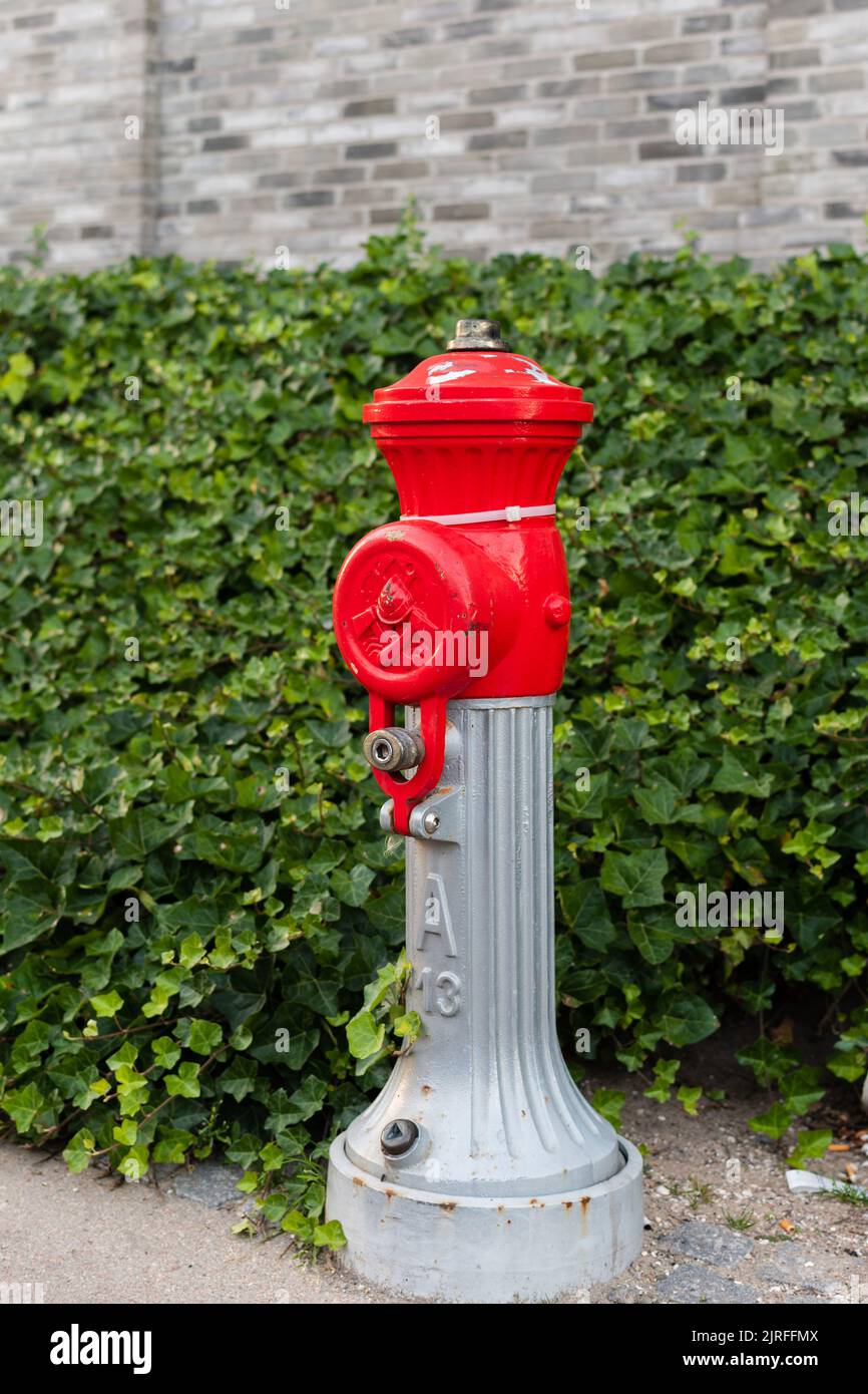 Fire hydrant with red top on the side of the road with green bushes in ...