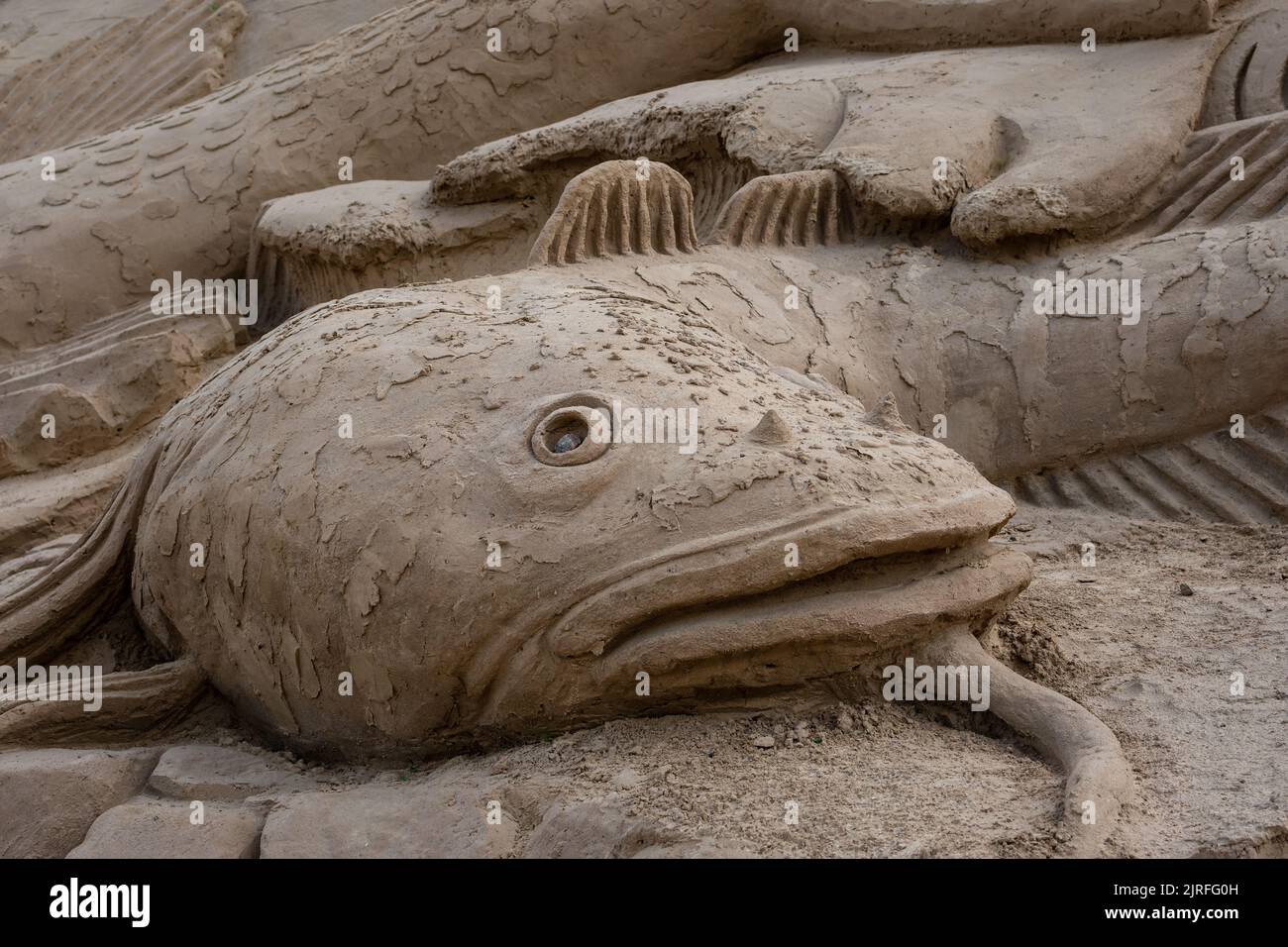 Lappeenranta, Finland. August 21, 2022. Catfish sand sculpture in ...